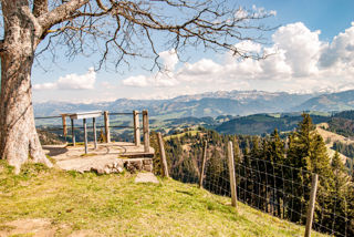 Der Napf von der Lüderenalp - als nuff! Der Wanderblog für die Schweiz ...